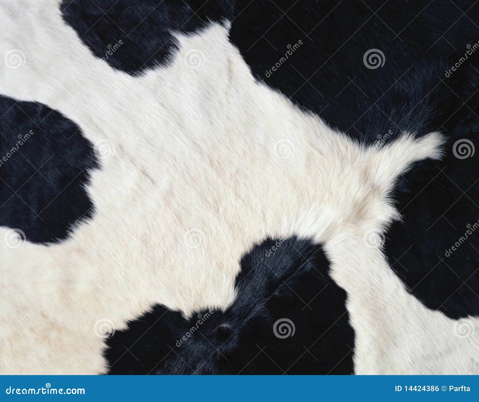 Cow fur as background stock photo. Image of full, domestic - 14424386