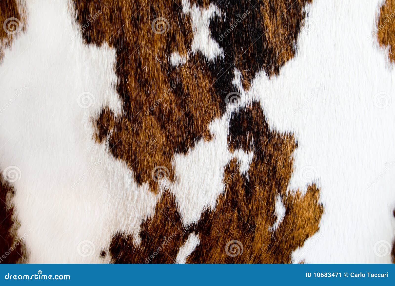 Cow Fur Texture