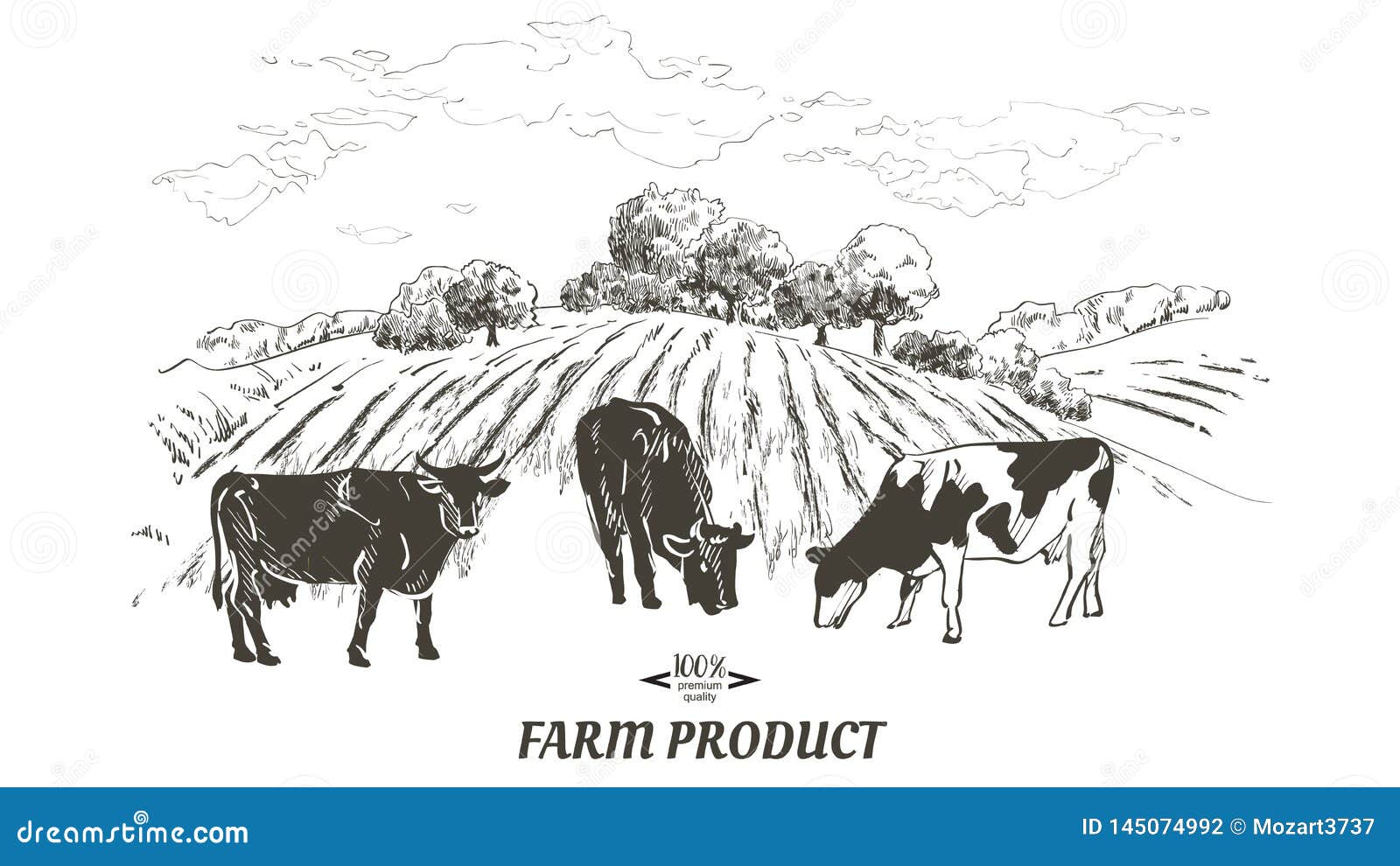 Cow In Graphic Line Style, Hand Drawing Vector Image | CartoonDealer ...