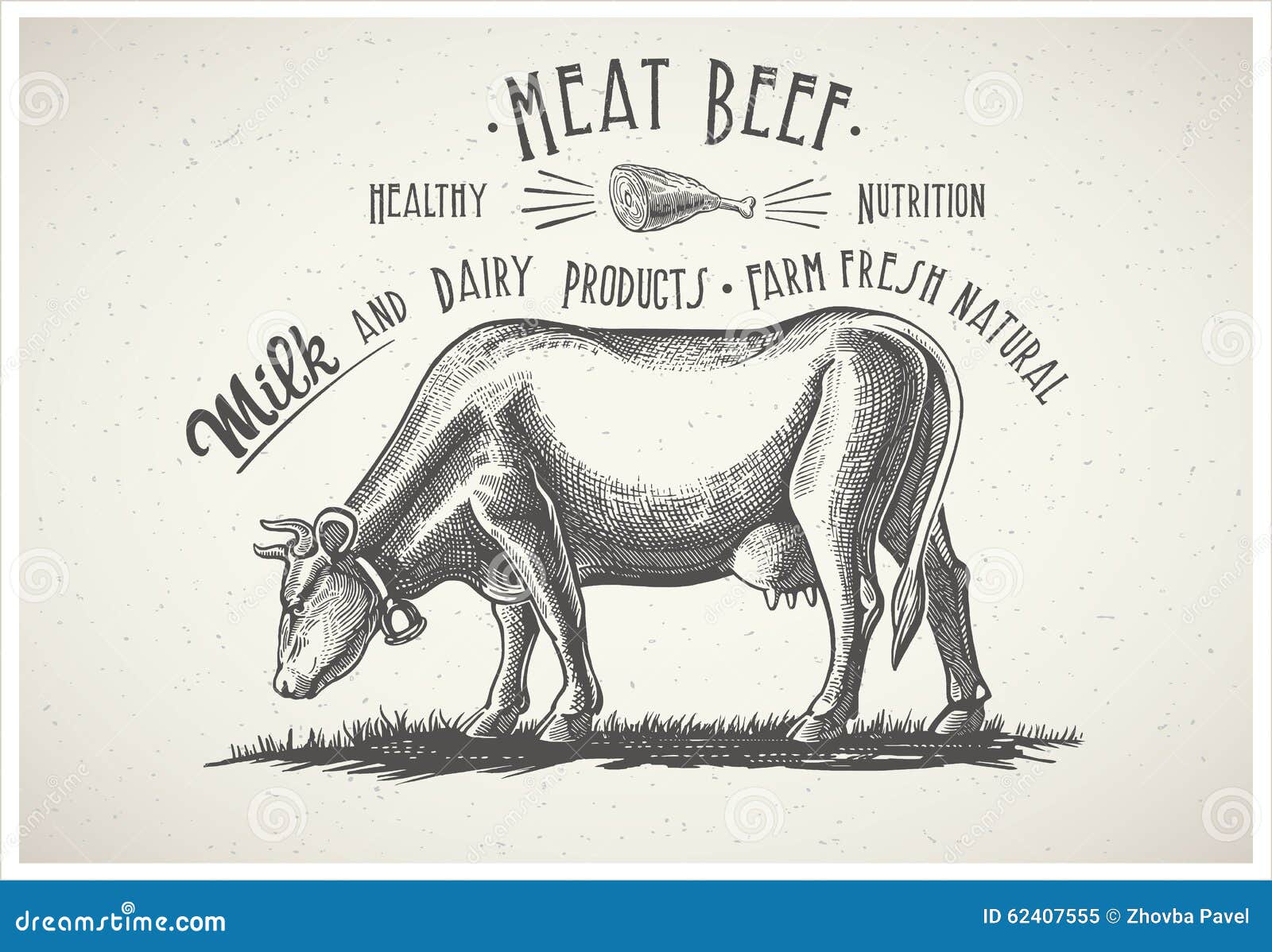 Cow in graphical style. stock vector. Illustration of drawn - 62407555