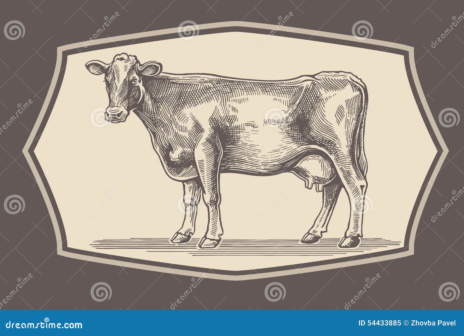 Cow In Graphical Style In The Frame. Vector Illustration ...