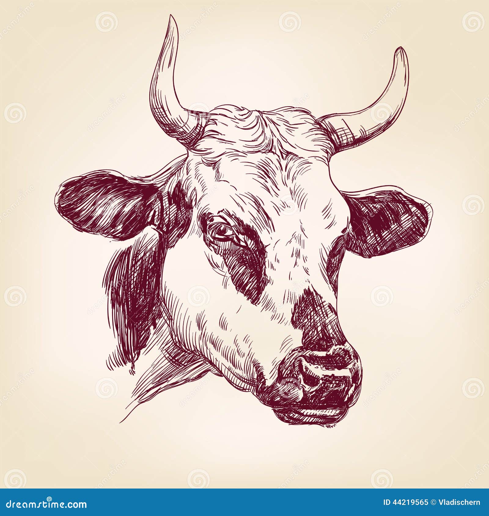 Cow Hand Drawn Vector Llustration Stock Vector - Illustration of food ...