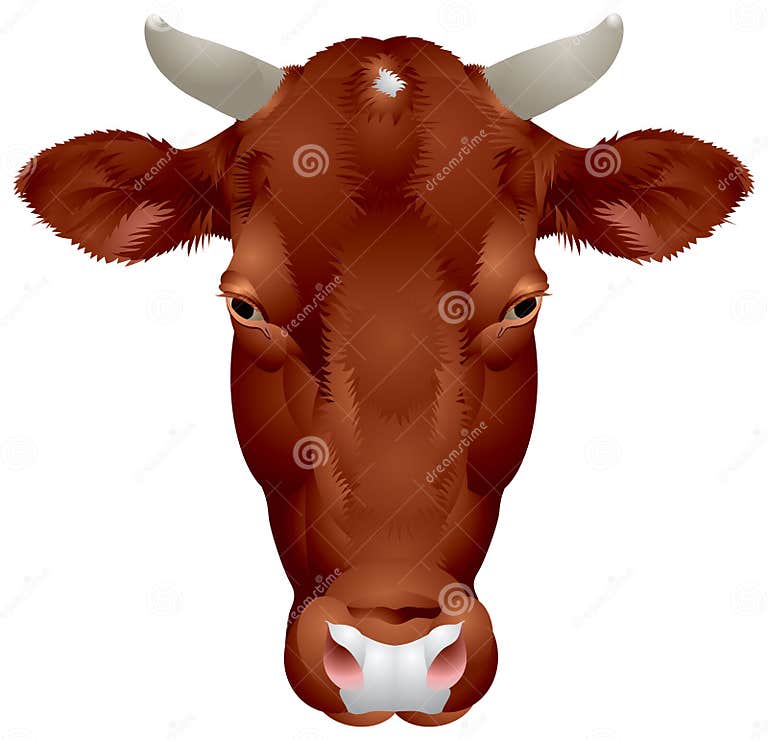 Cow head stock vector. Illustration of farm, cattle, mammal - 15129879