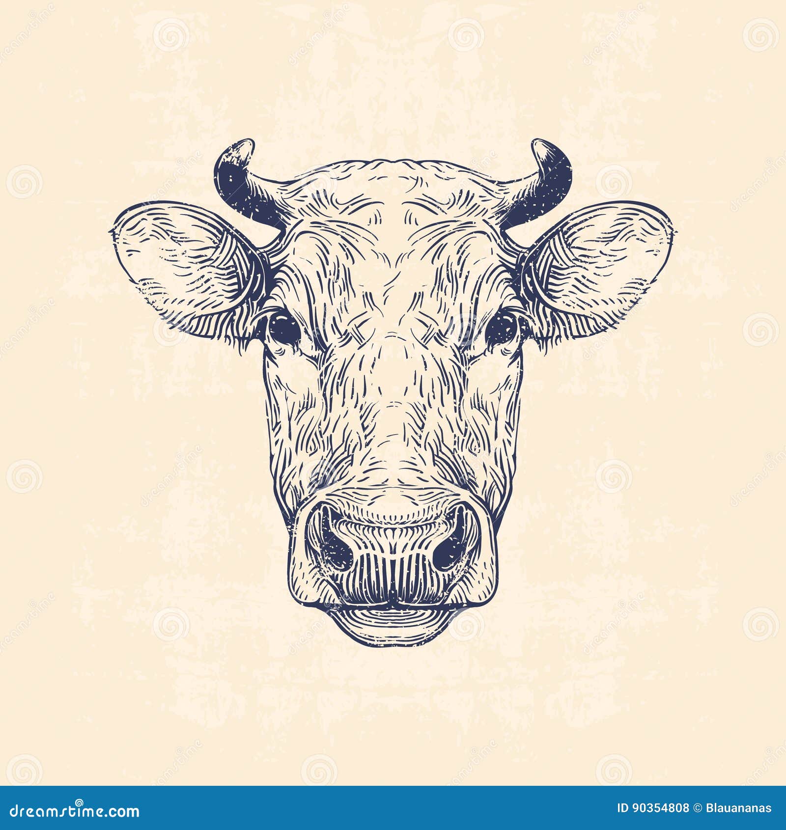 Cow head stock vector. Illustration of mammal, portrait - 90354808