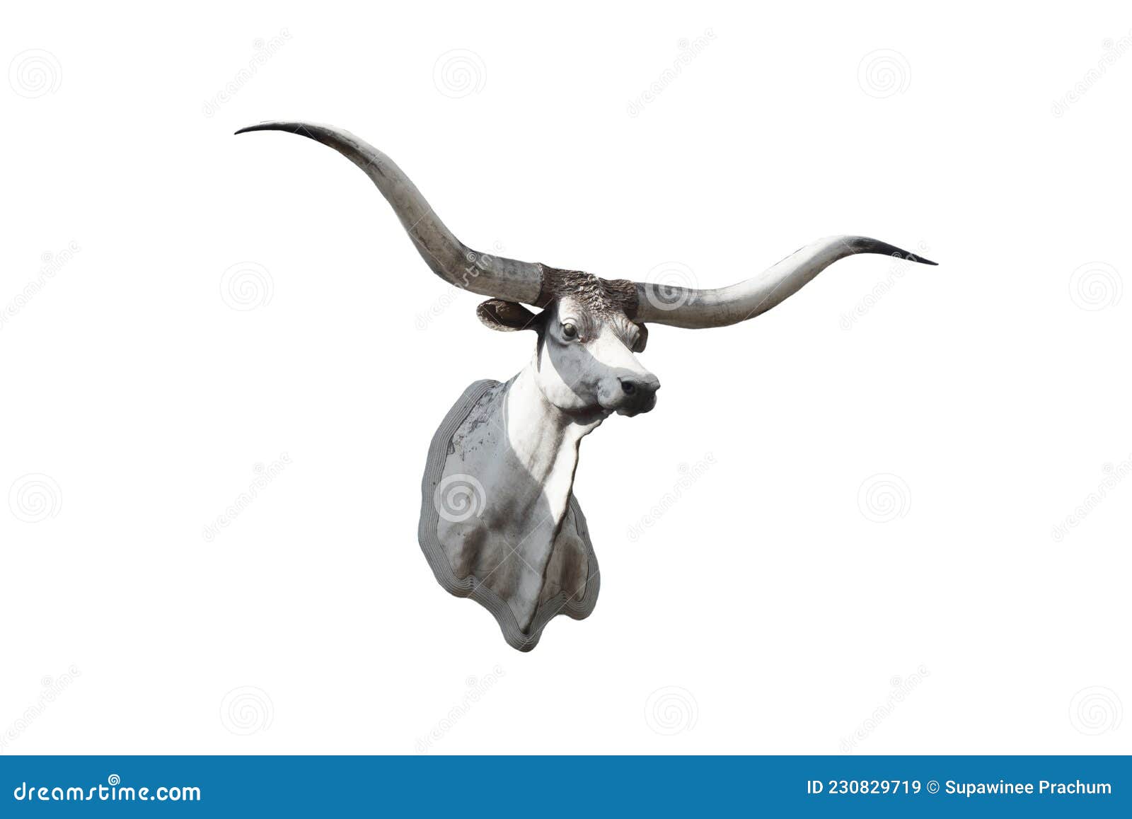 Cow Head Sculpture Isolated on the White Background Stock Image - Image ...