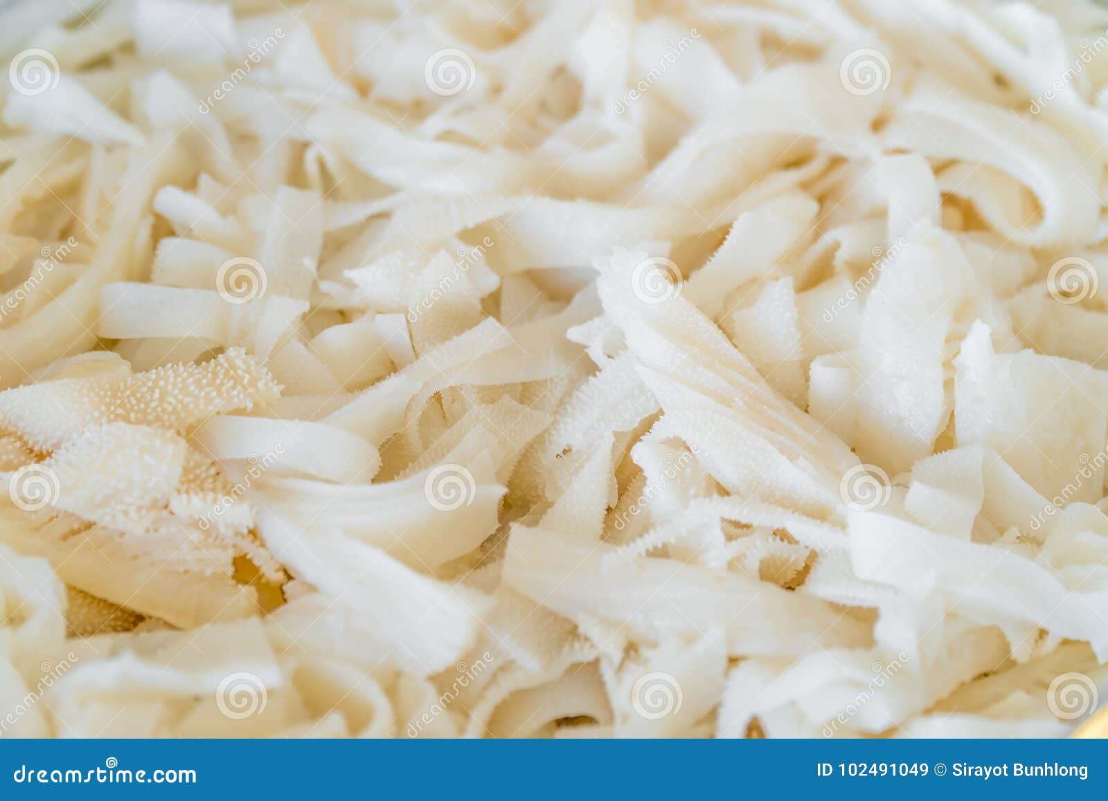 The Cow Intestines in dish stock image. Image of dish - 102491049