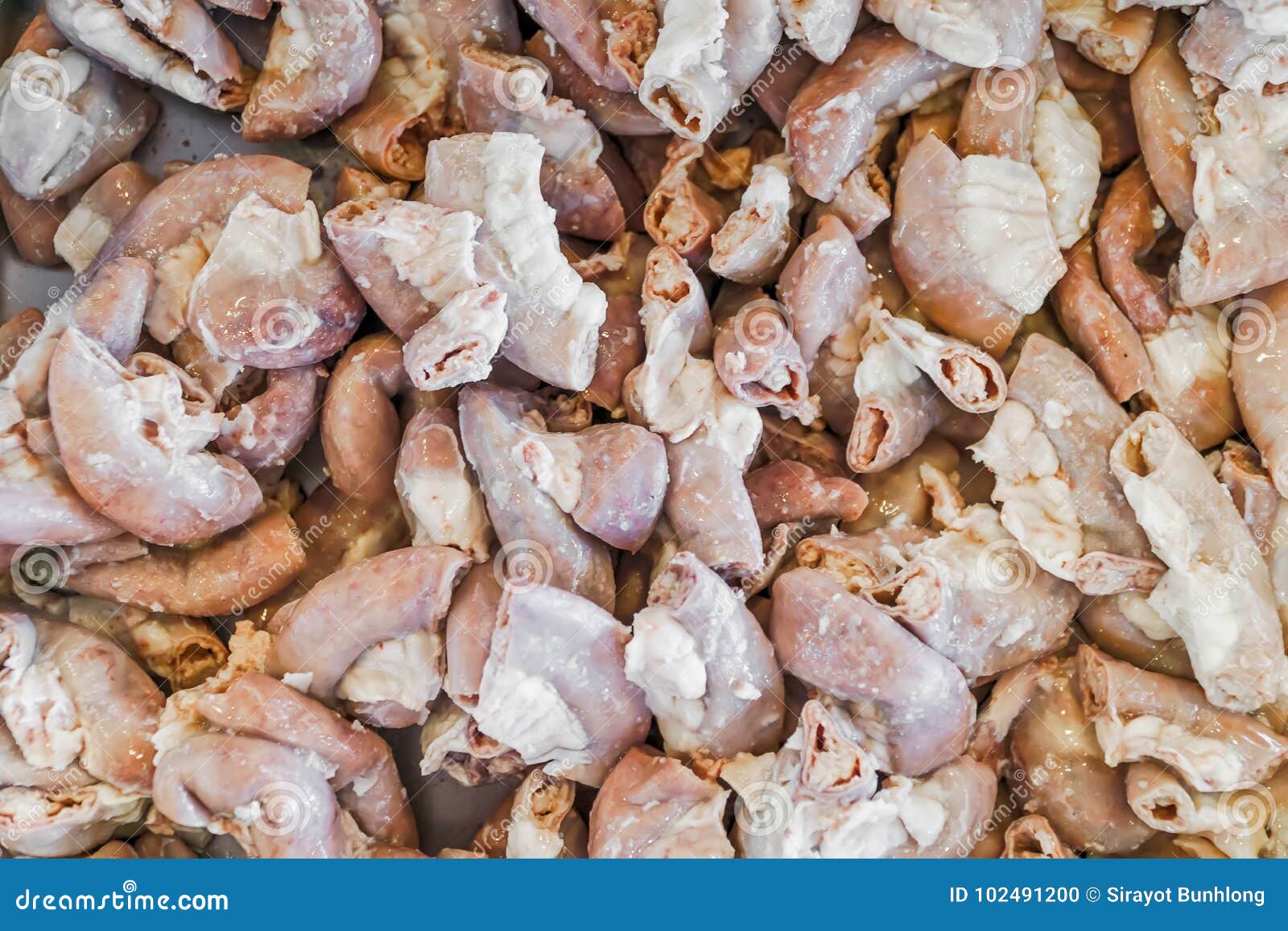 The Cow Intestines in dish stock photo. Image of mammal - 102491200