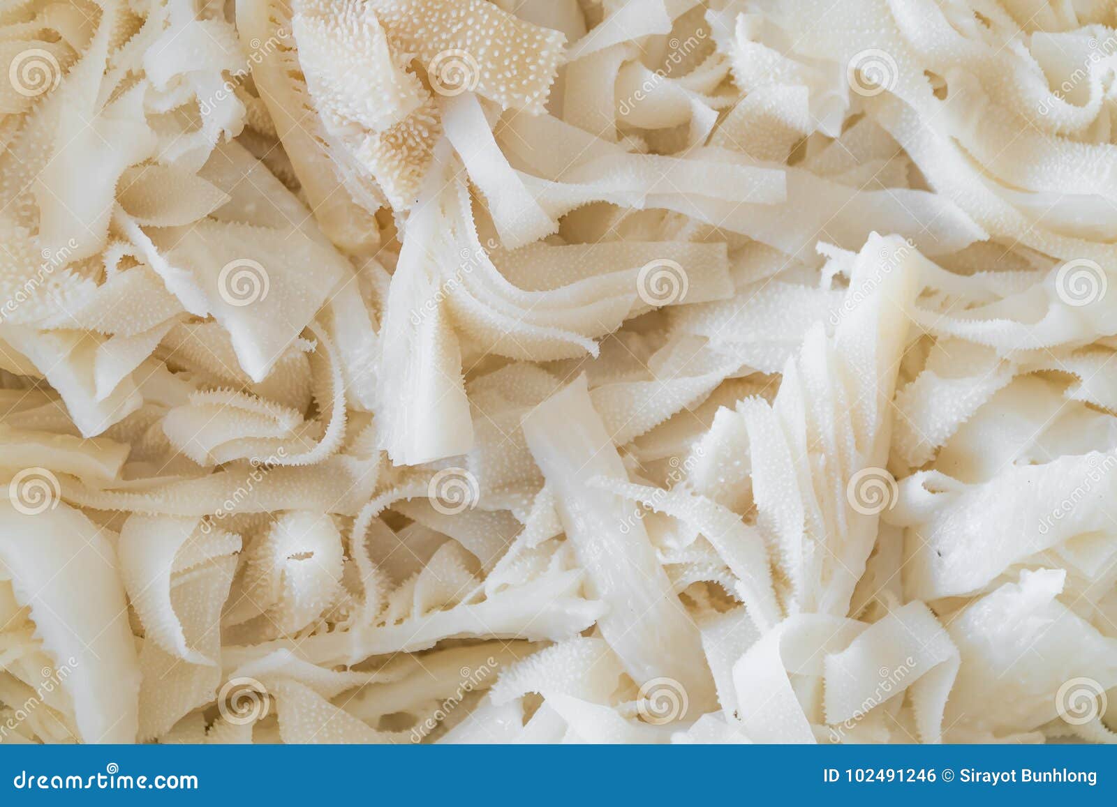 The Cow Intestines in dish stock photo. Image of animal - 102491246