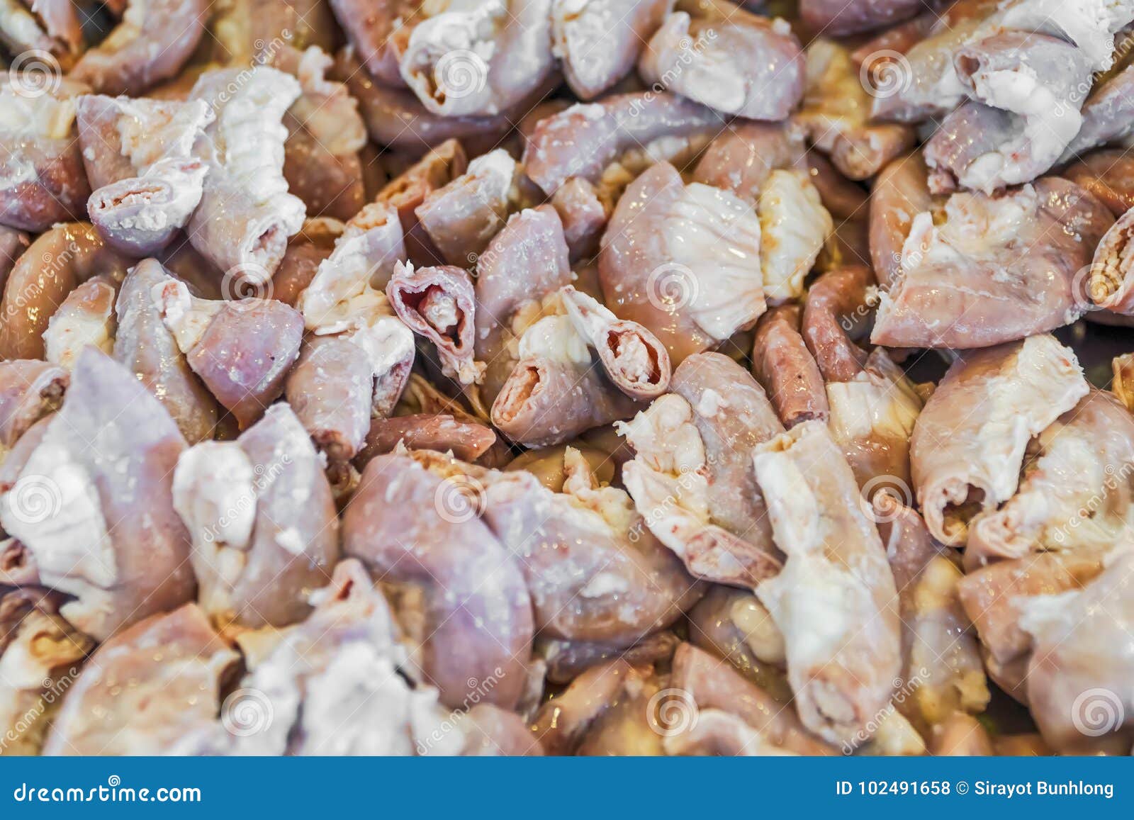 The Cow Intestines in dish stock photo. Image of intestine - 102491658