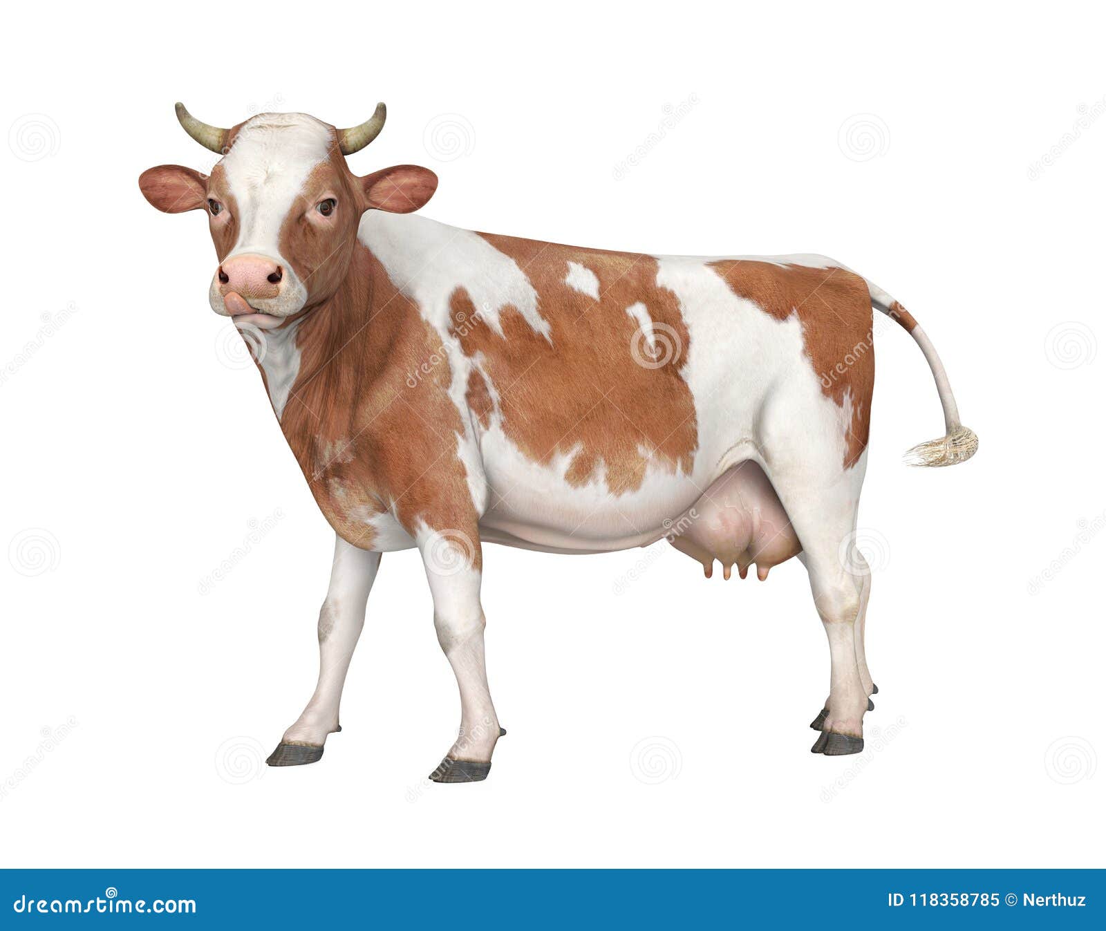 Cow Render Stock Illustrations – 1,687 Cow Render Stock Illustrations ...