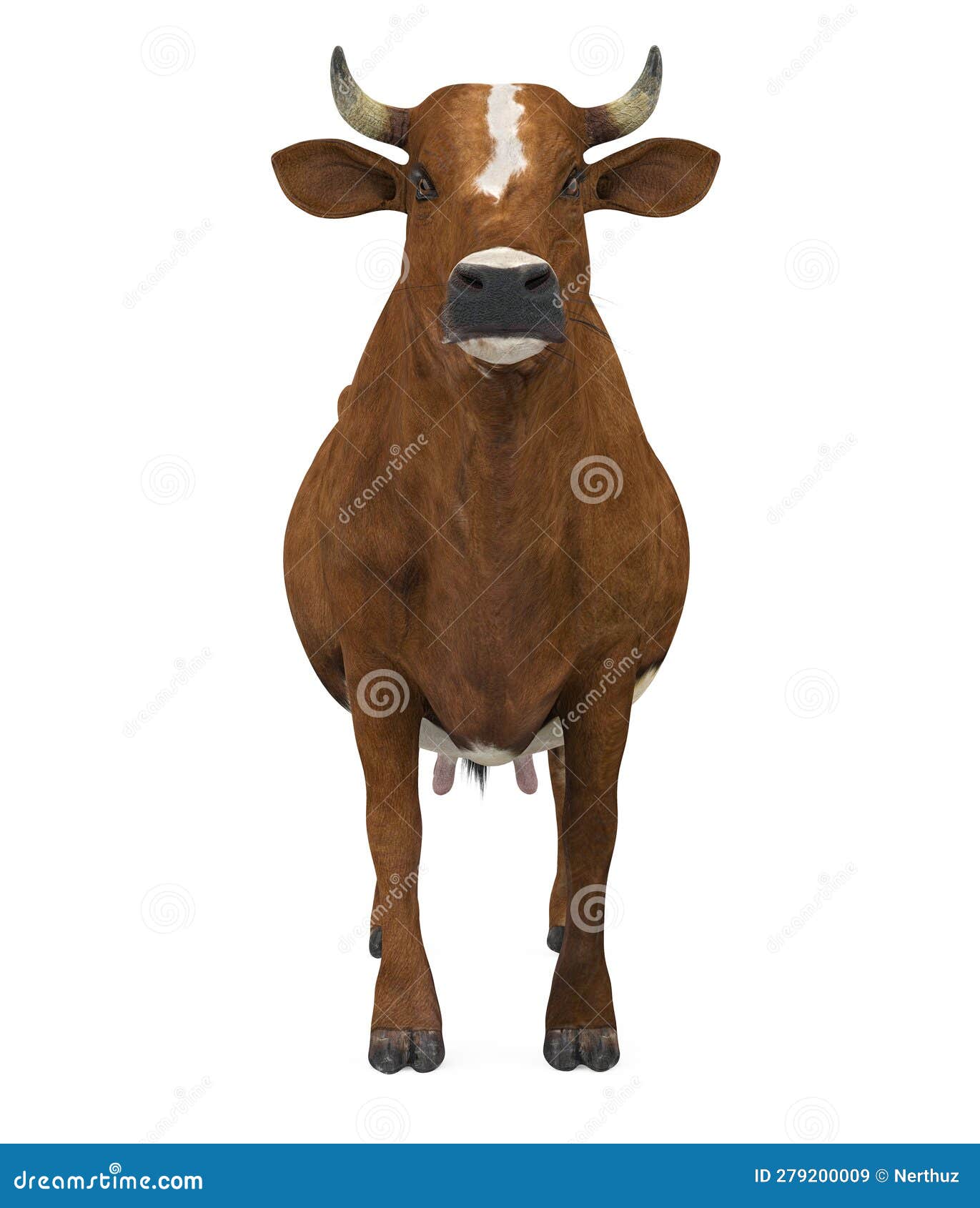 Cow Isolated stock illustration. Illustration of ranch - 279200009