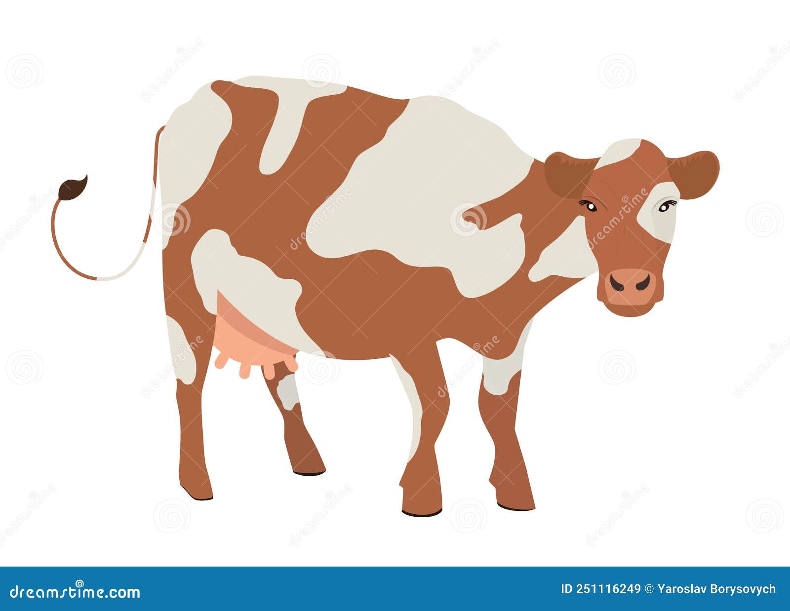 Cow Isolated on White Background Vector Stock Vector - Illustration of ...