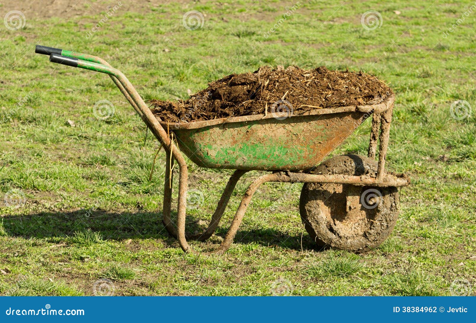 Cow manure in carts stock photo. Image of agriculture - 38384962