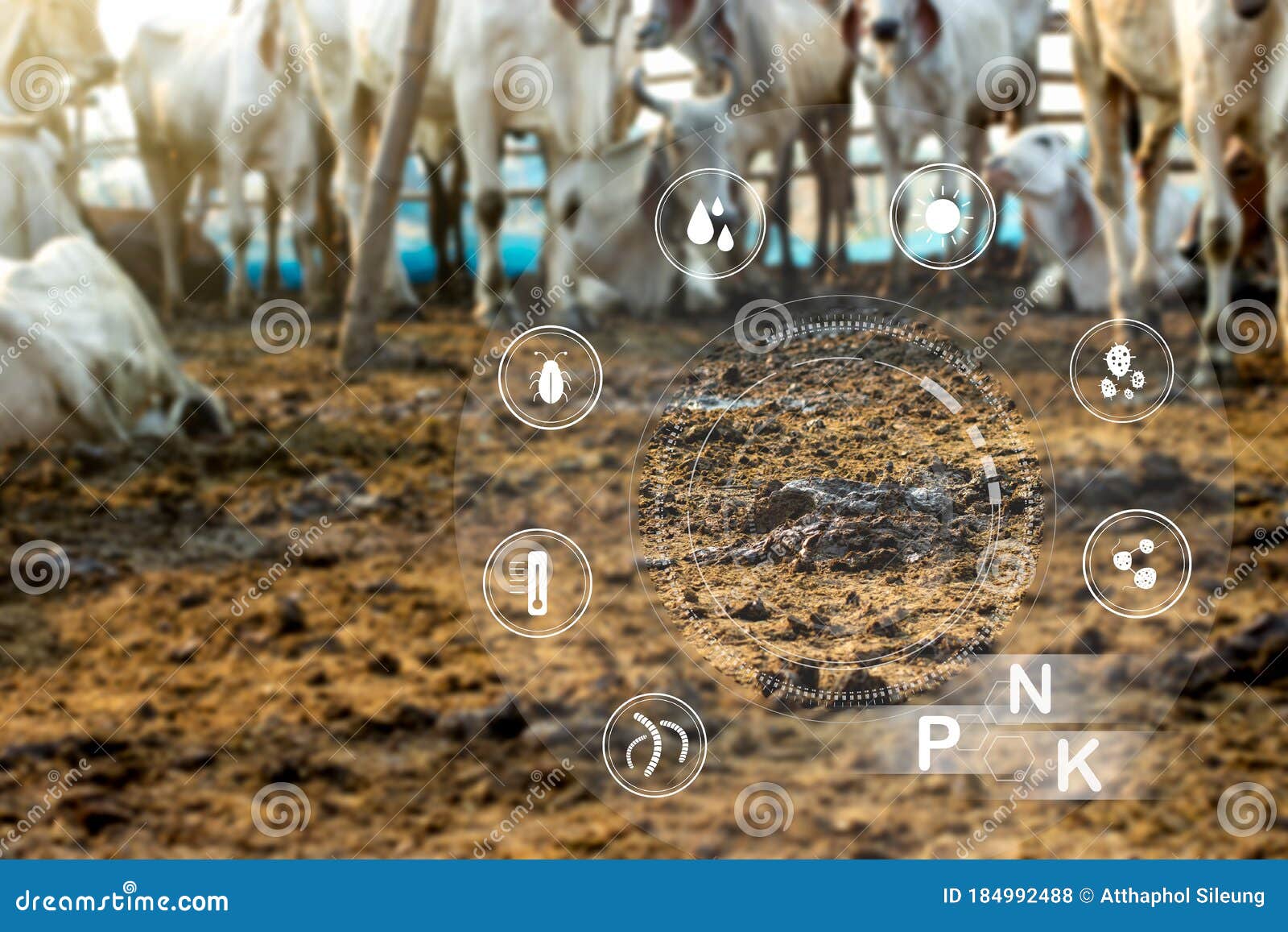 Cow Manure or Manure on a Central Farm, and Also Includes Icon ...