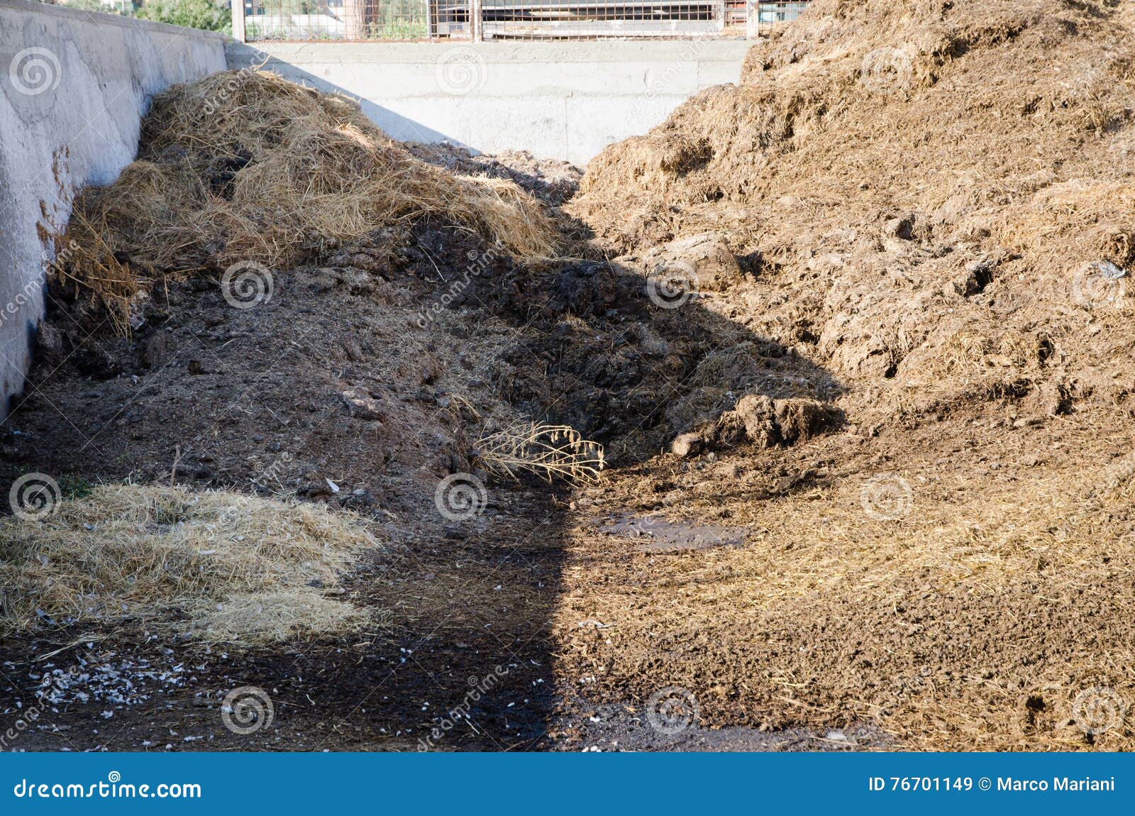 Cow manure in a farm stock image. Image of farm, tank - 76701149