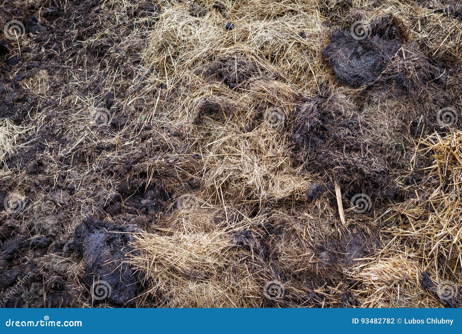 Cow manure stock photo. Image of dung, material, garden - 93482782