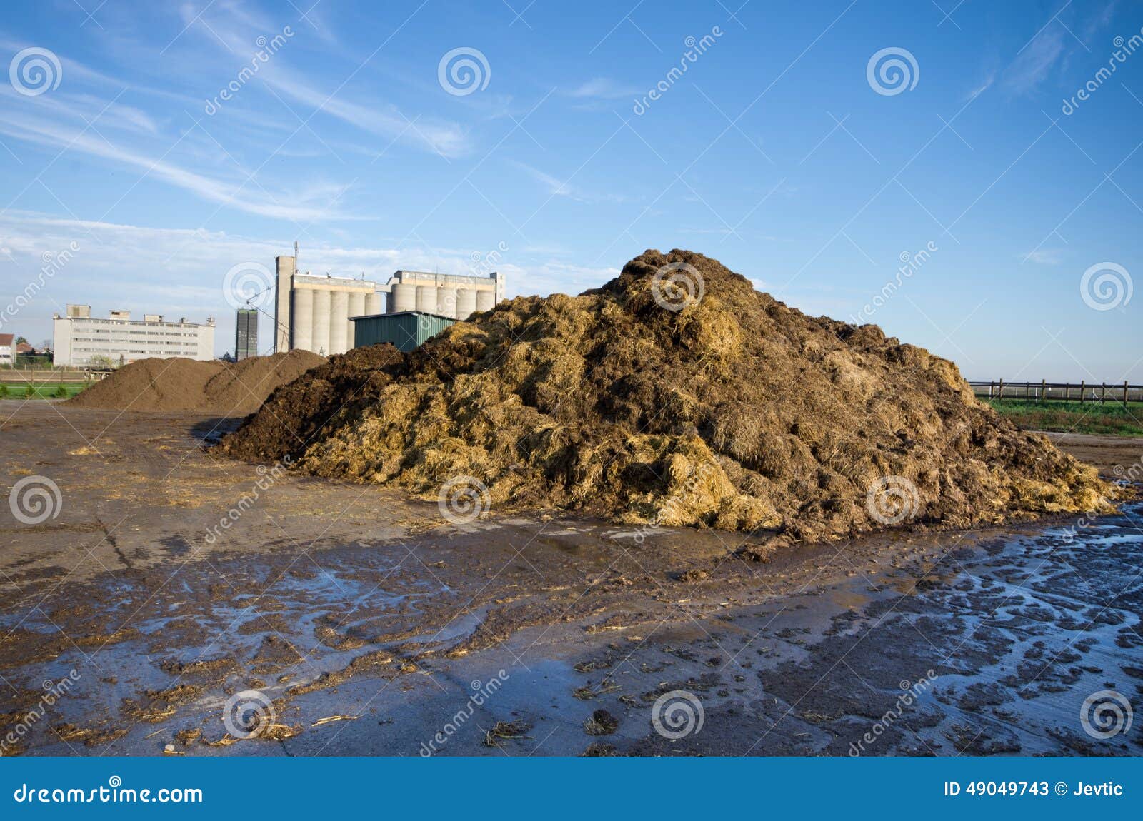 Cow manure stock image. Image of organic, feces, farming - 49049743