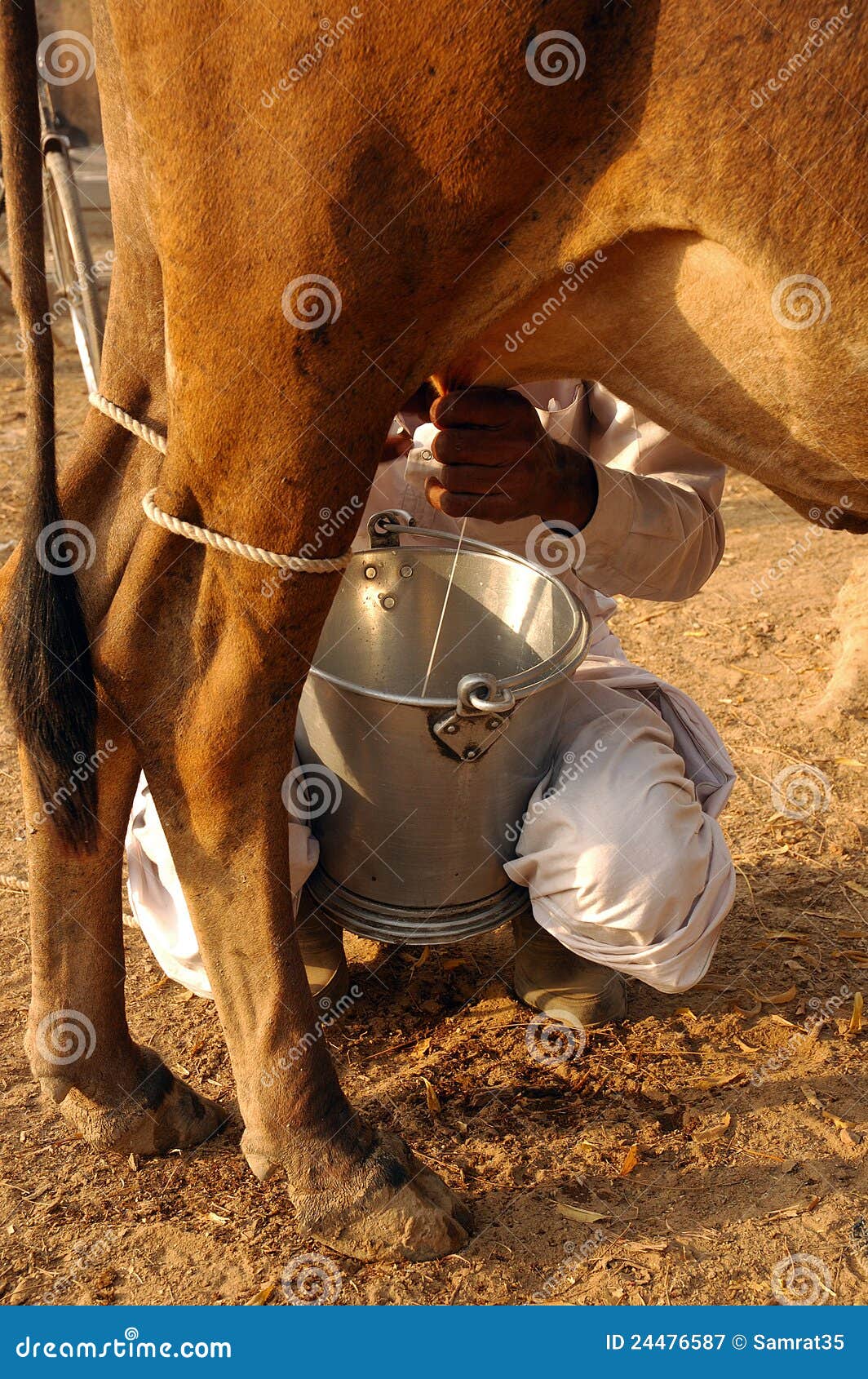 India Milkman On The Road Supply Milk During Lock Down In India Wearing ...