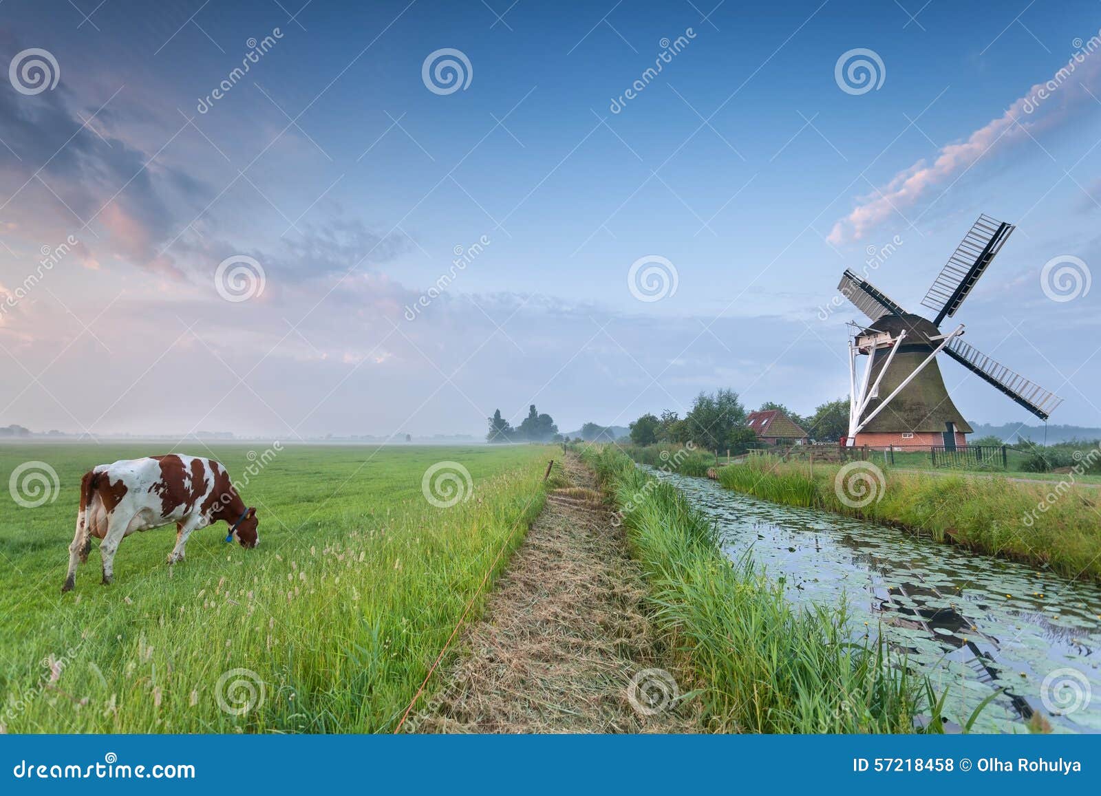 Cow on Pasture and Windmill by River Stock Photo - Image of dutch ...