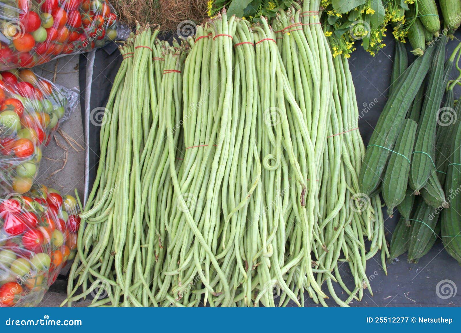 Cow-pea stock image. Image of long, herbs, fresh, collection - 25512277
