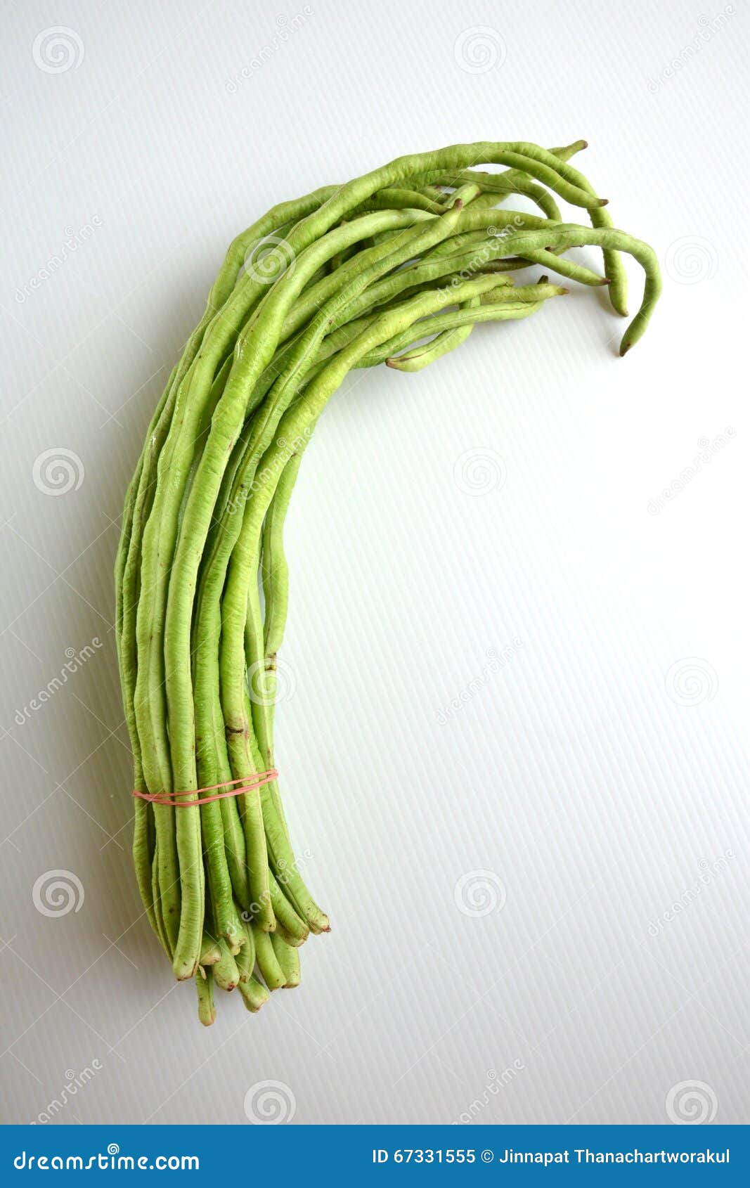 Cow-Pea stock image. Image of food, green, eating, group - 67331555