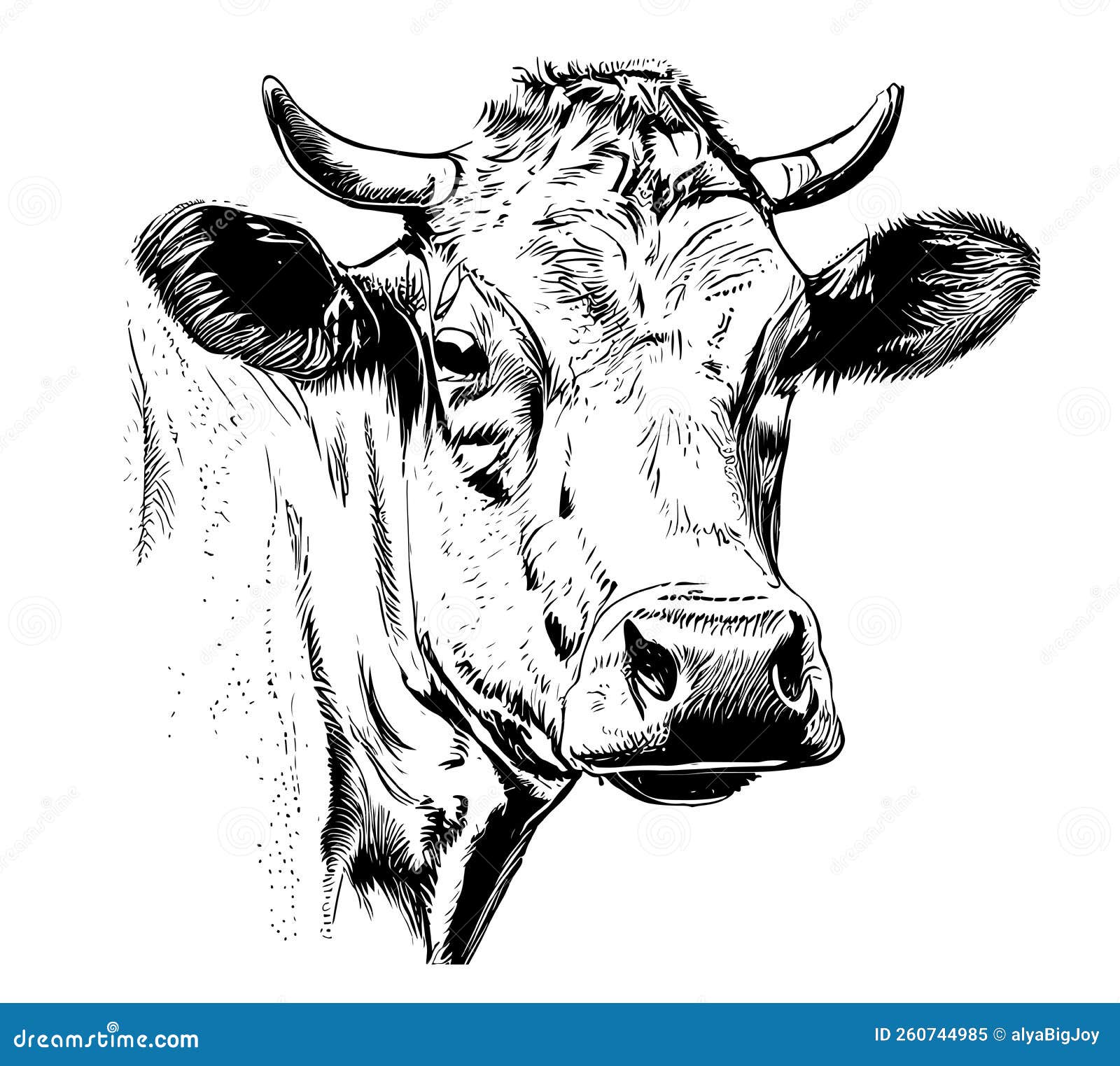 Cow Portrait in Strokes .Cow Head Hand Drawn Sketch Stock Vector ...