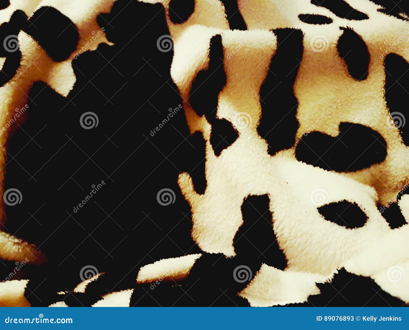 Cow Print Texture stock image. Image of pattern, wild - 89076893