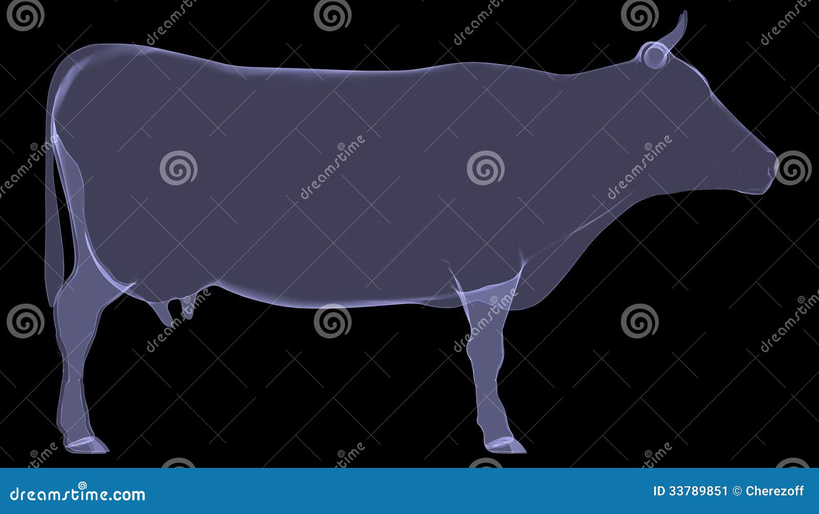 Cow. the X-ray render stock illustration. Illustration of clear - 33789851