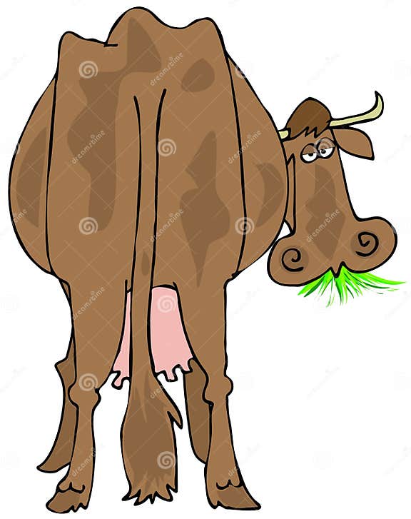 Cow s Rear stock illustration. Illustration of horn, straw - 6852175