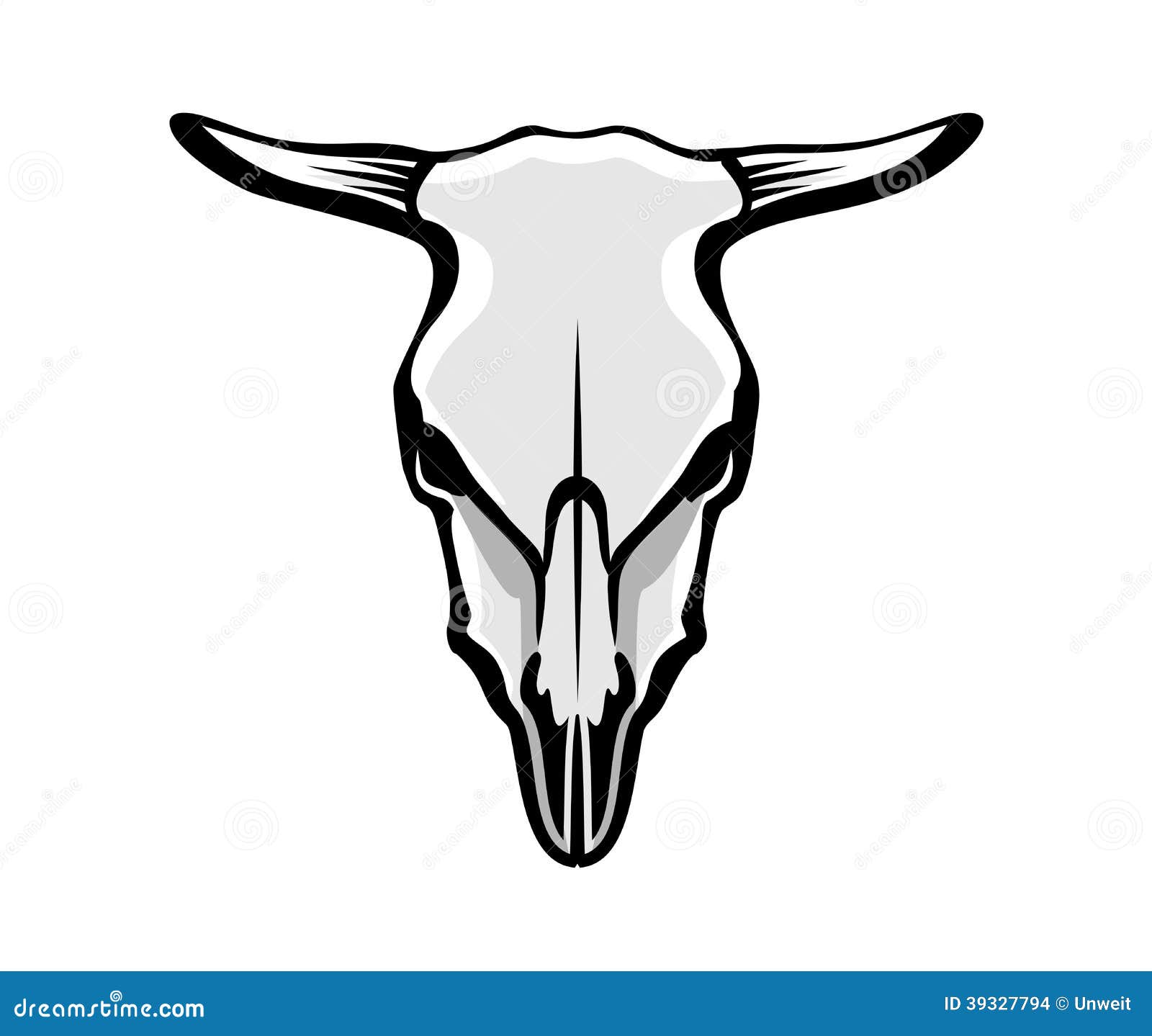 Cows Skull stock vector. Illustration of nature, horned - 39327794