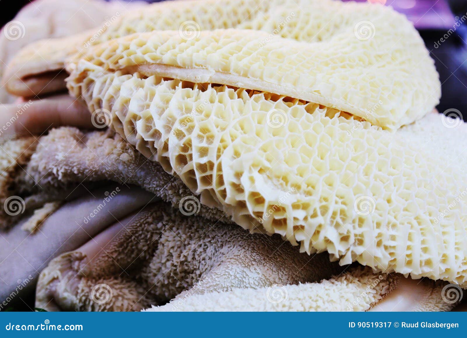 Cow`s stomach or reticulum stock image. Image of nutricion - 90519317