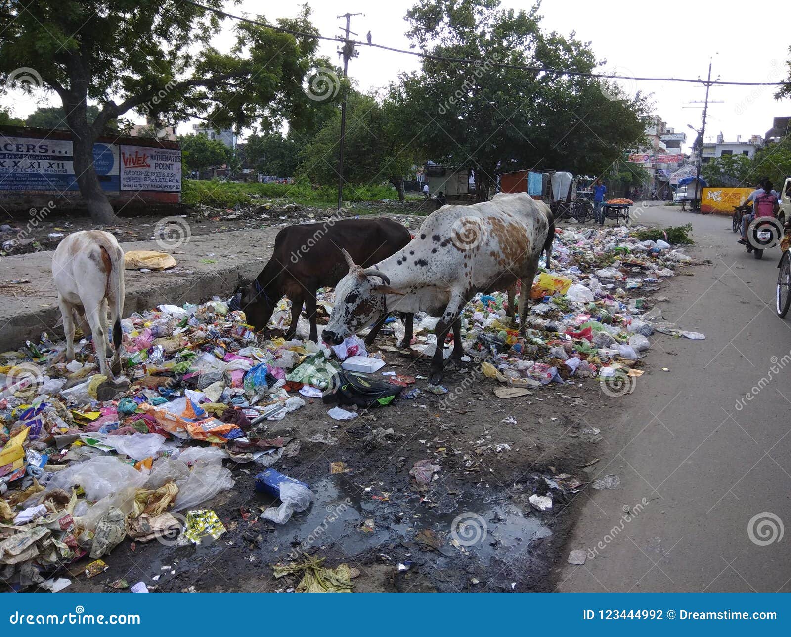 Hanger editorial photography. Image of dustbin, food - 123444992