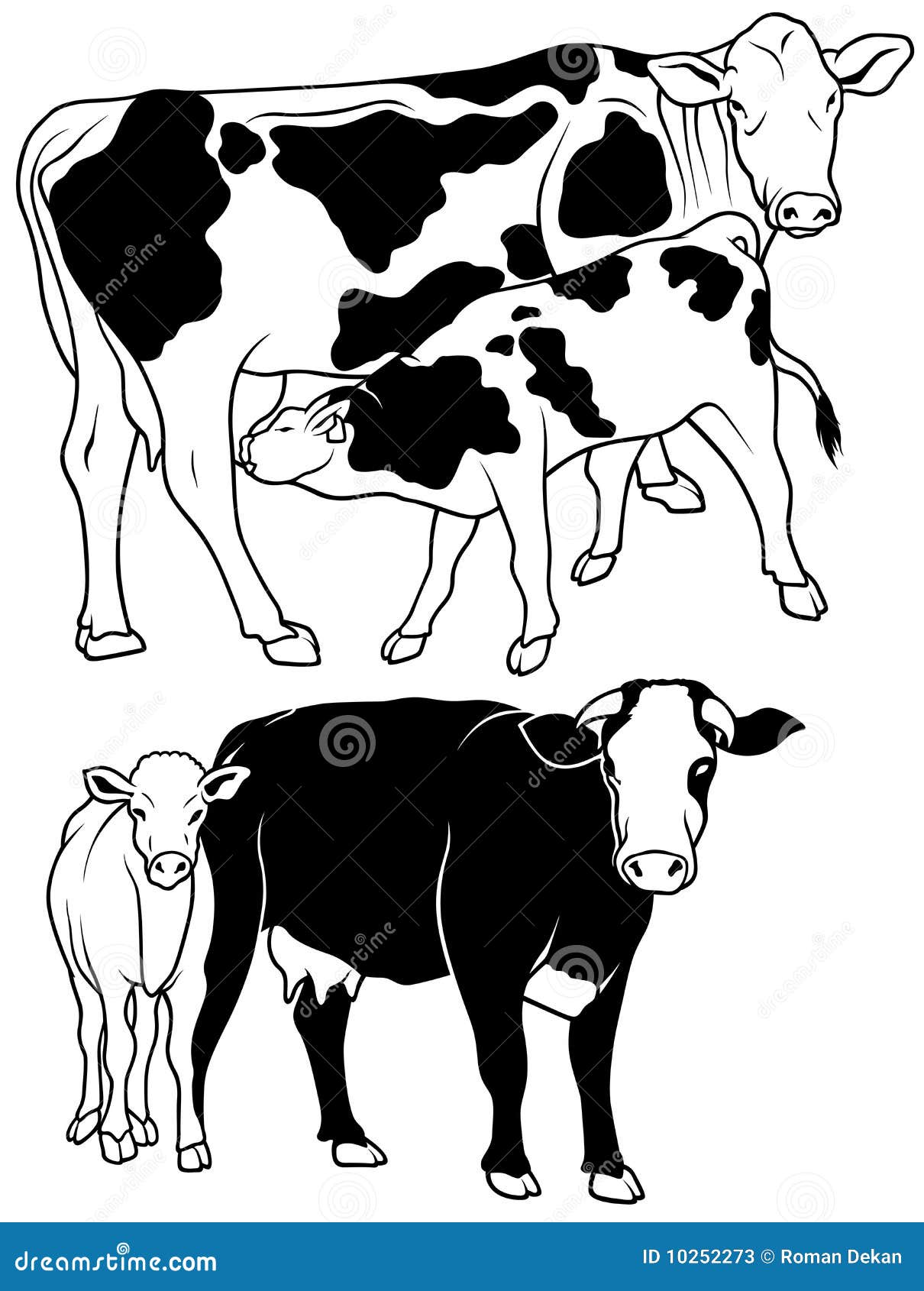 Cow Set stock vector. Illustration of drawing, domestic - 10252273