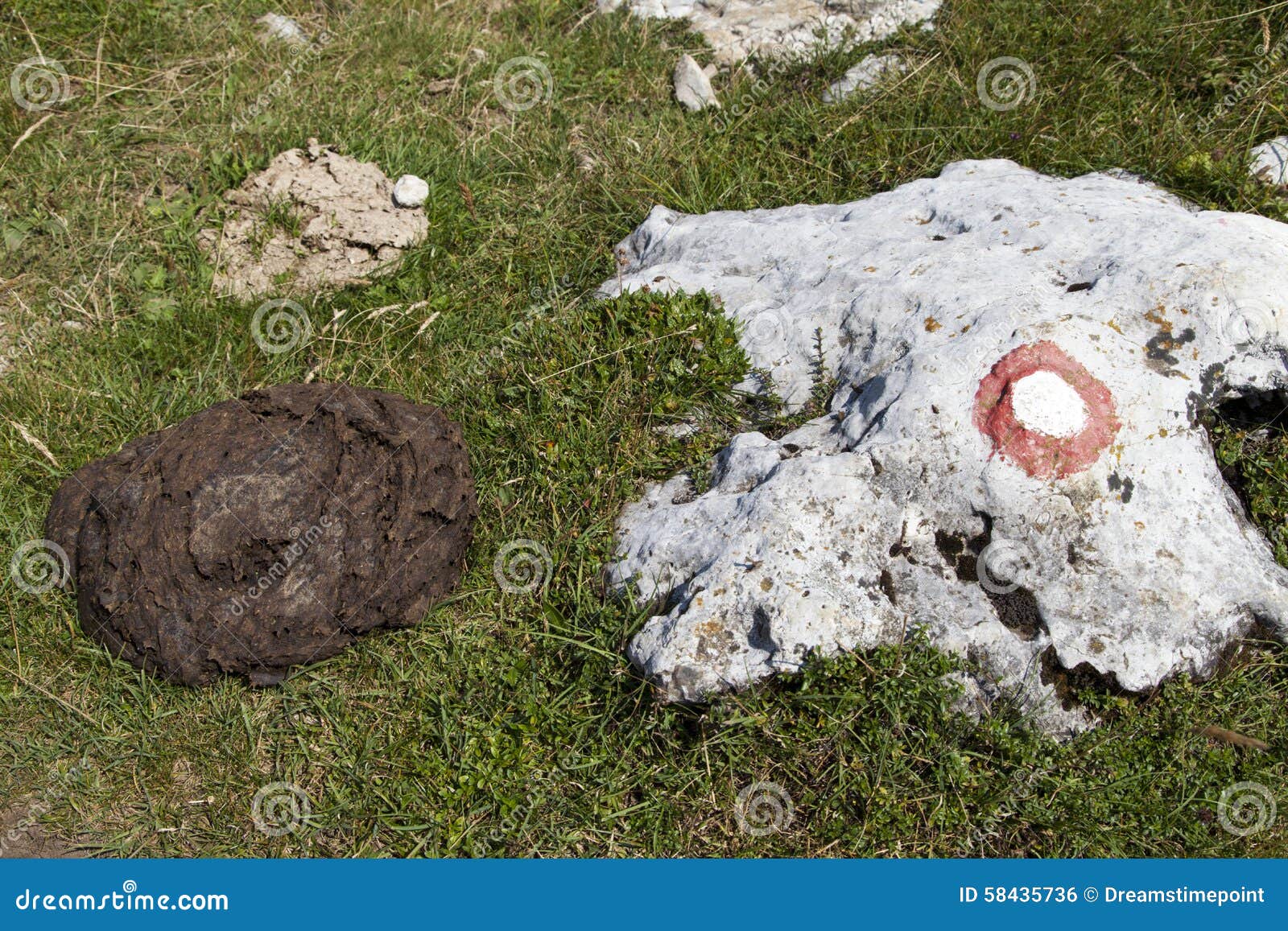 Cow Shit on the Mountain Path Near Rock with Sign Post Stock Photo ...