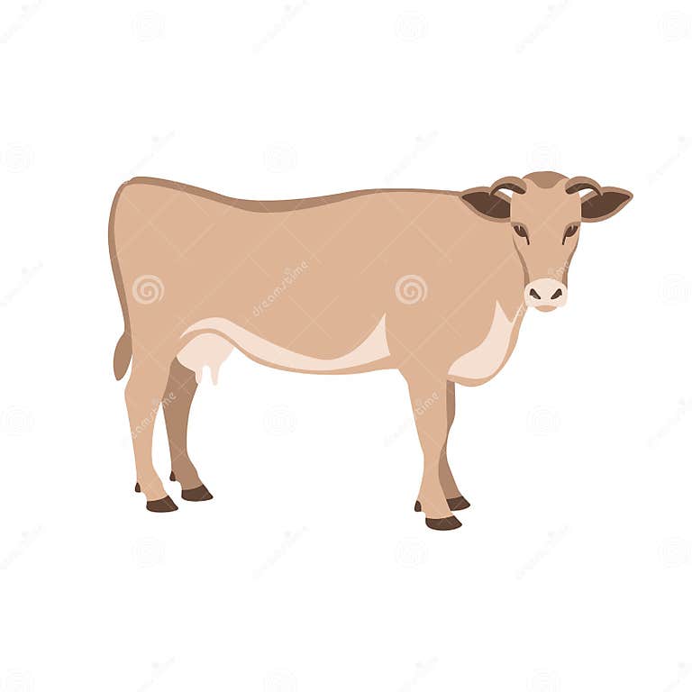 Cow Side View, Vector Illustration, Flat Stock Vector - Illustration of ...