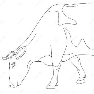 Cow Side View, Vector Illustration, Lining Stock Vector - Illustration ...