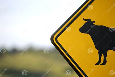 Cow Sign -- No Bull!! stock image. Image of ranchland, animal - 637511