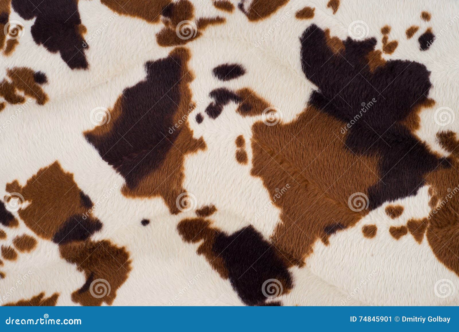 Cow skin texture stock image. Image of detail, pattern - 74845901