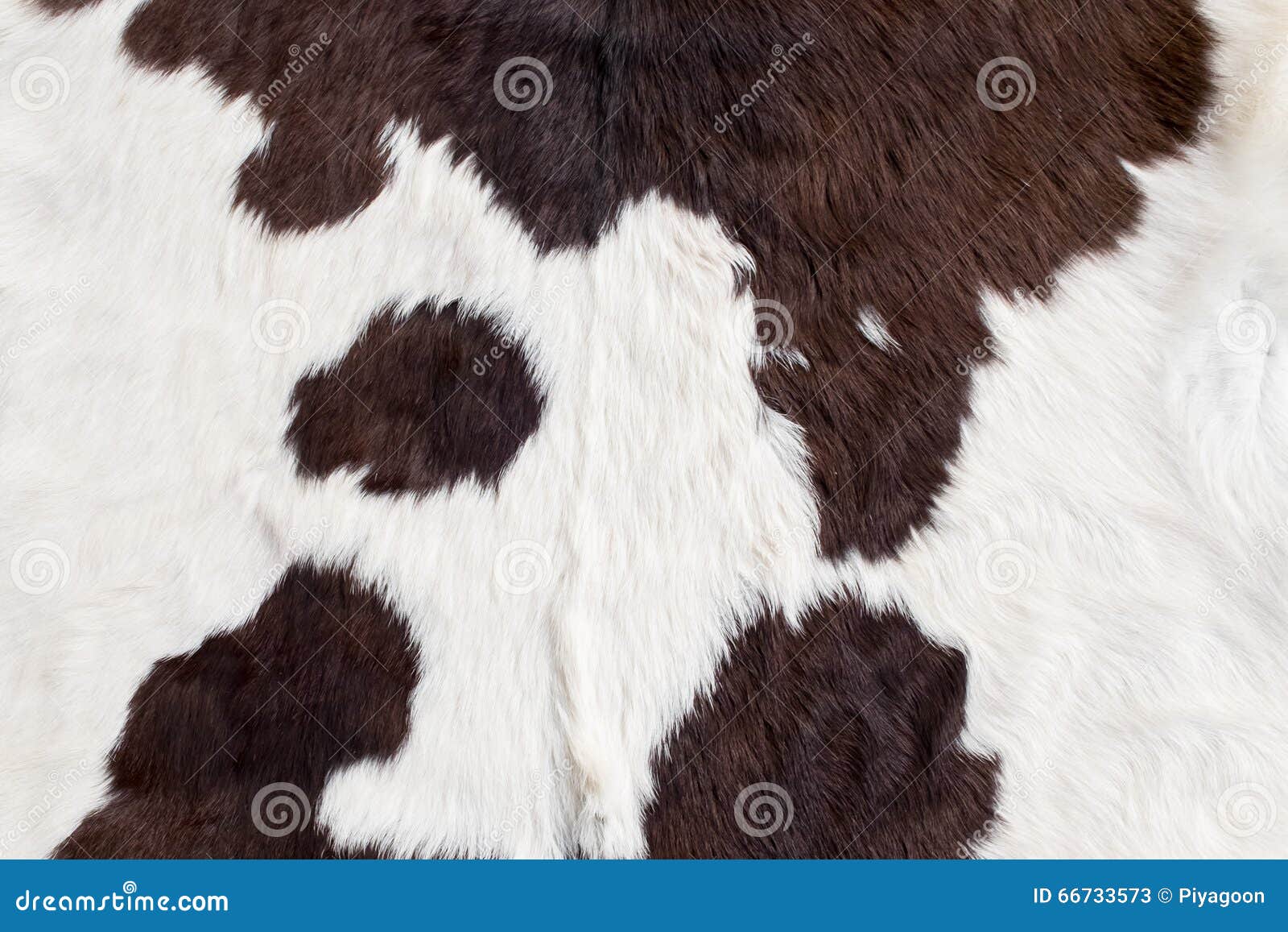 Cow skin texture stock image. Image of decoration, abstract - 66733573