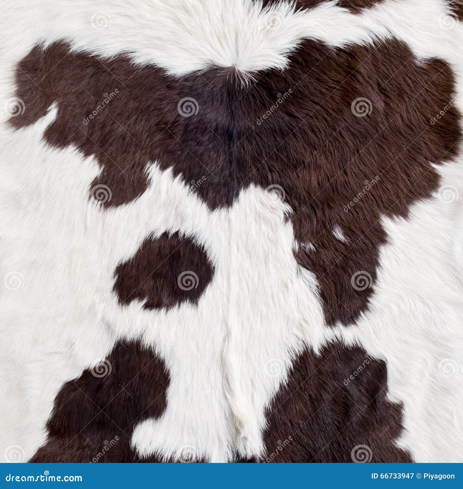 Cow skin texture stock image. Image of decoration, material - 66733947