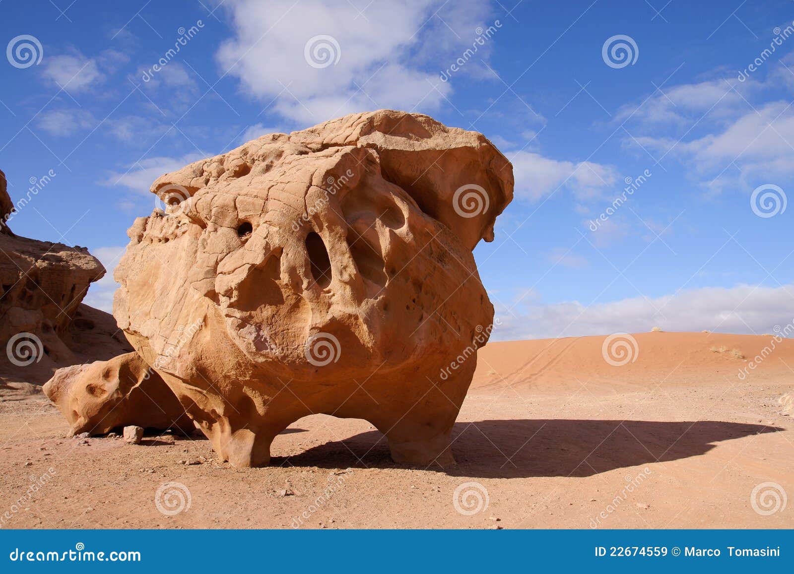 Cow Stone in Wadi Rum Desert, Jordan Stock Image - Image of wadi ...