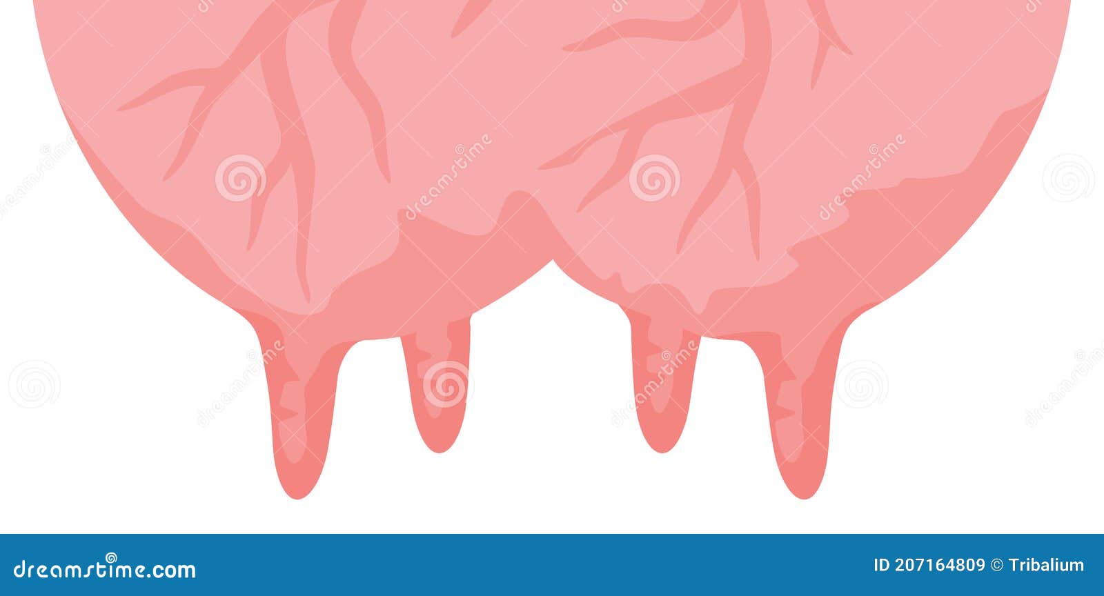 Cow udder color vector stock vector. Illustration of cream - 207164809