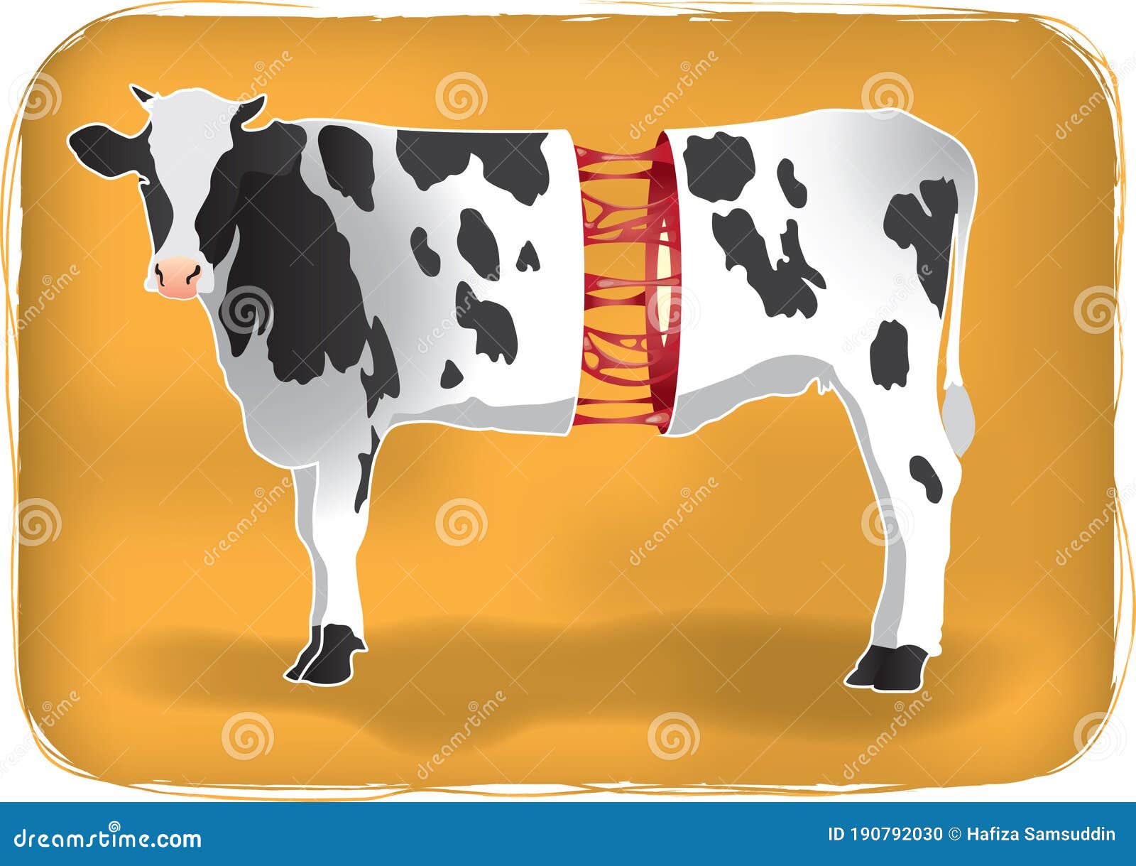 Cow. Vector Illustration Decorative Design Stock Vector - Illustration ...