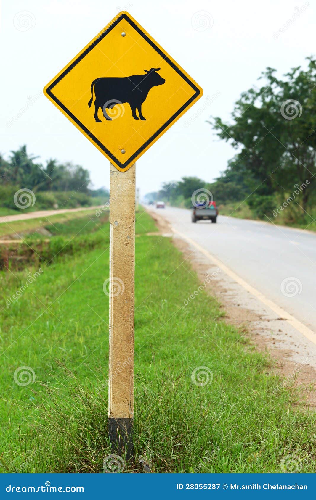 Cow warning sign stock image. Image of danger, black - 28055287