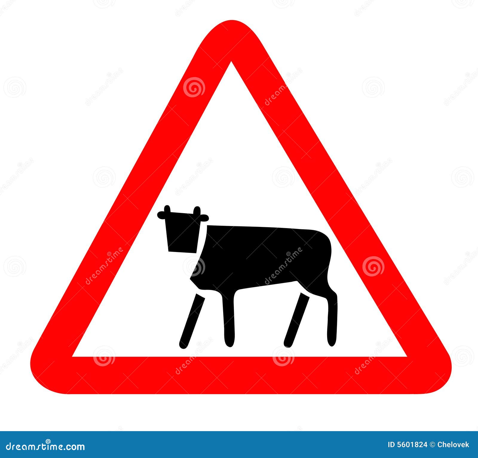 Cow warning sign stock vector. Illustration of white, traffic - 5601824