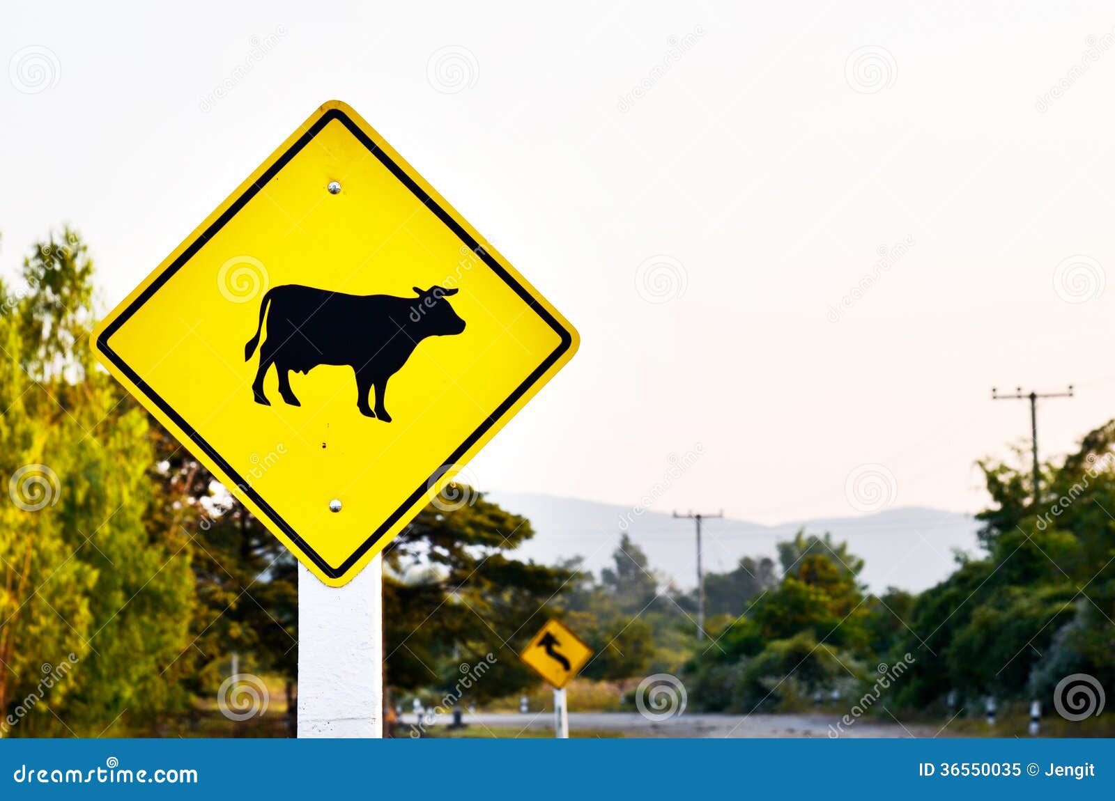 Cow warning sign stock image. Image of safety, beware - 36550035