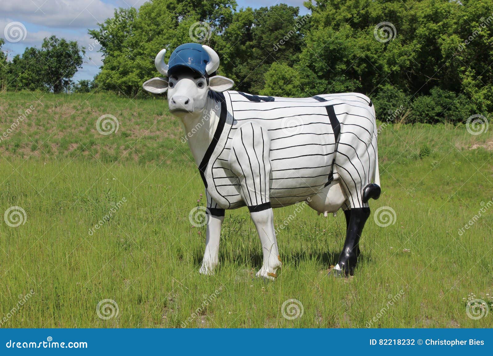 A Cow Wearing a Baseball Uniform Editorial Photography - Image of front ...
