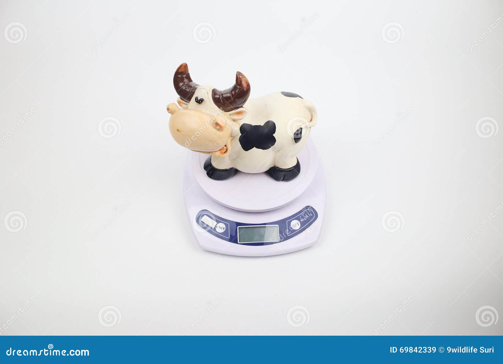 Cow on a weight scales stock image. Image of weight, scale - 69842339