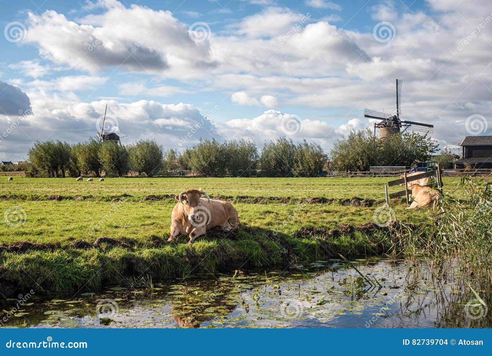 Cow and Windmill stock photo. Image of rural, farm, windmill - 82739704