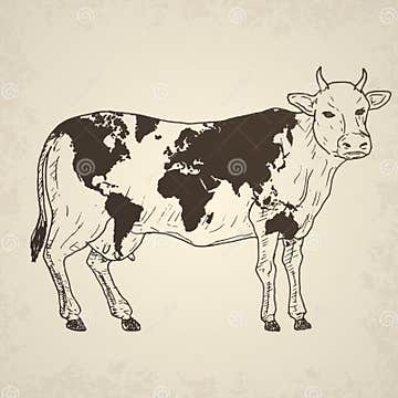 Cow with world map. stock vector. Illustration of milk - 61074914